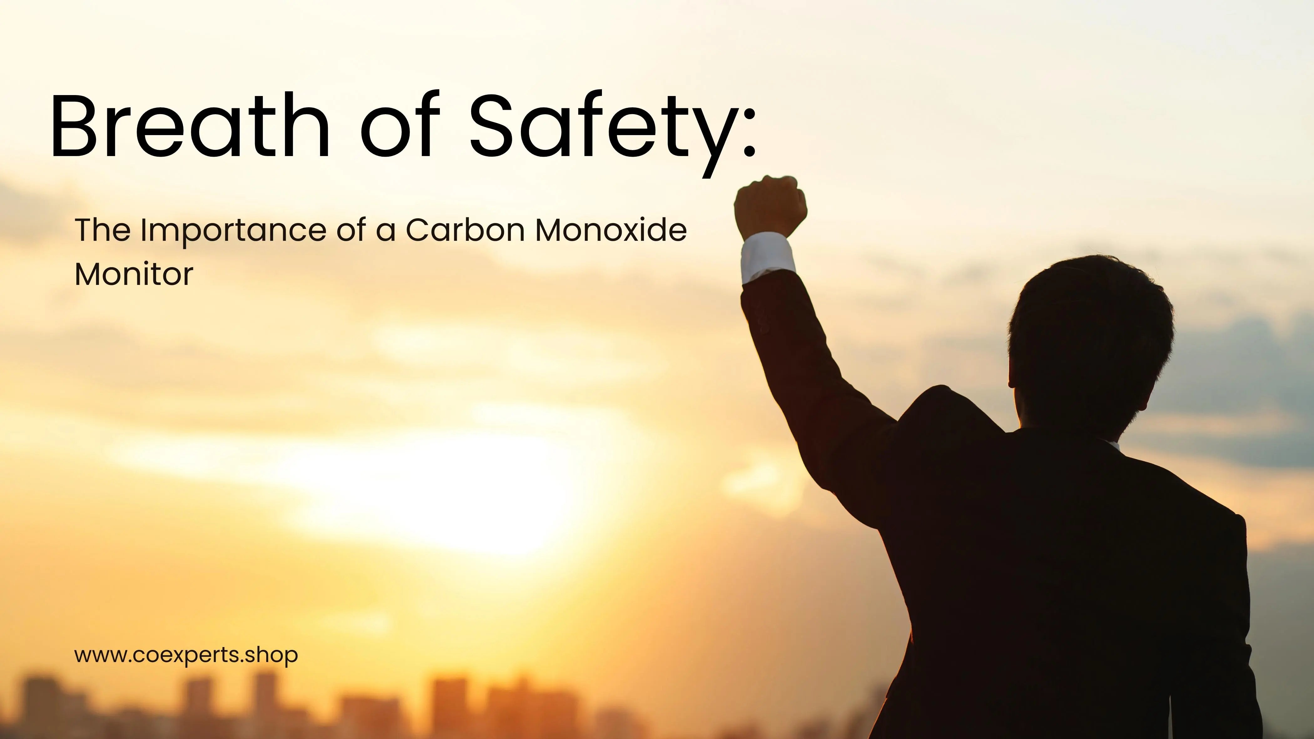 Breath of Safety: The Importance of a Carbon Monoxide Monitor - CO – CO ...